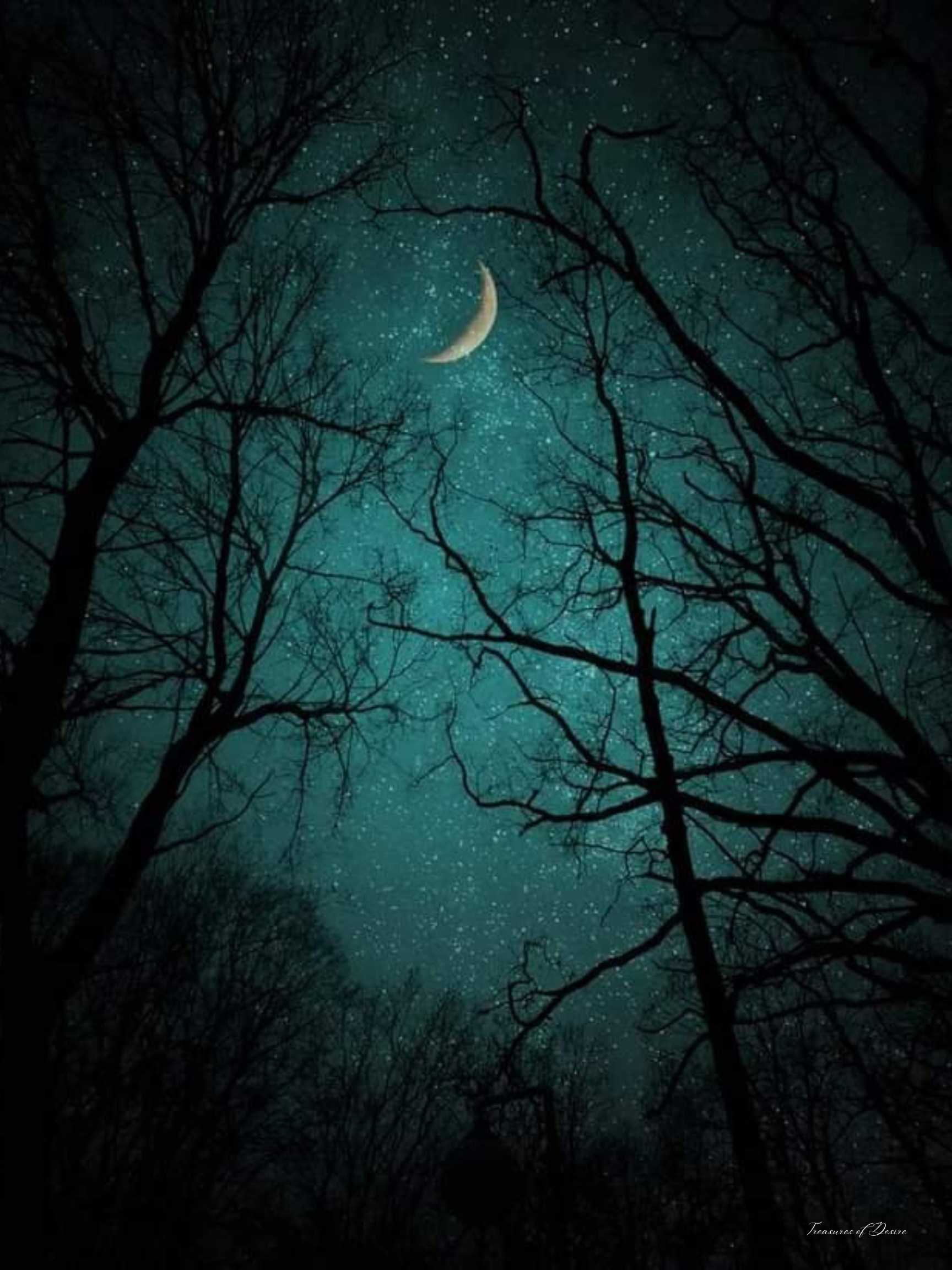 Starry Night Poster Print – Treasures of Desire